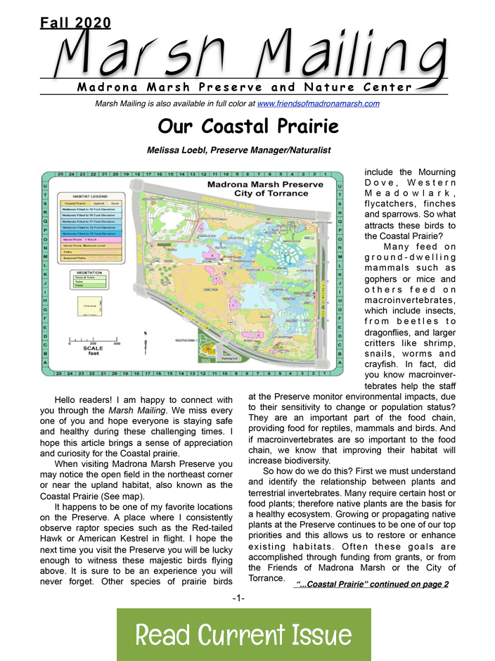 Friends of Madrona Marsh Preserve in Torrance