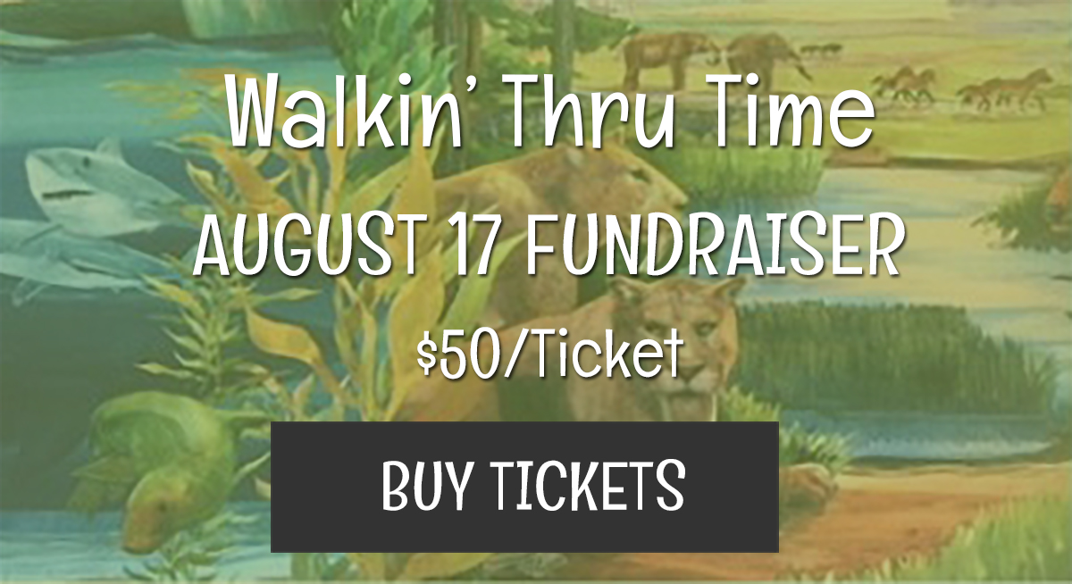 Friends of Madrona Marsh Preserve in Torrance